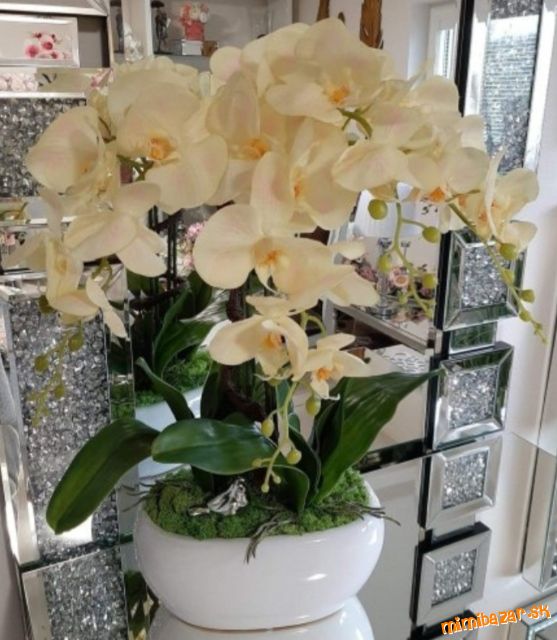 Predám - Dekoračná orchidea, Brezno | Mimibazar.sk
